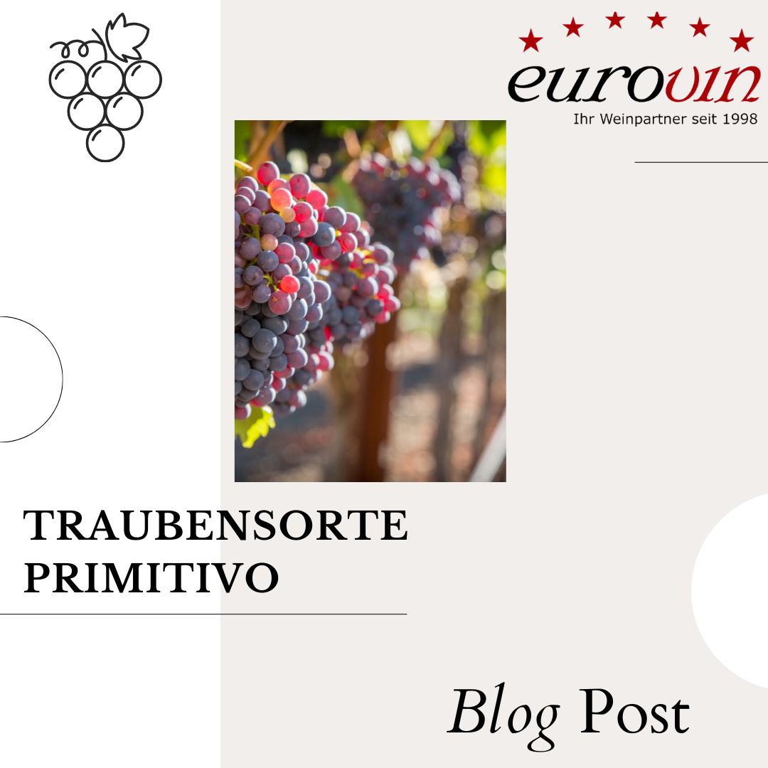Primitivo Wein - Eurovin