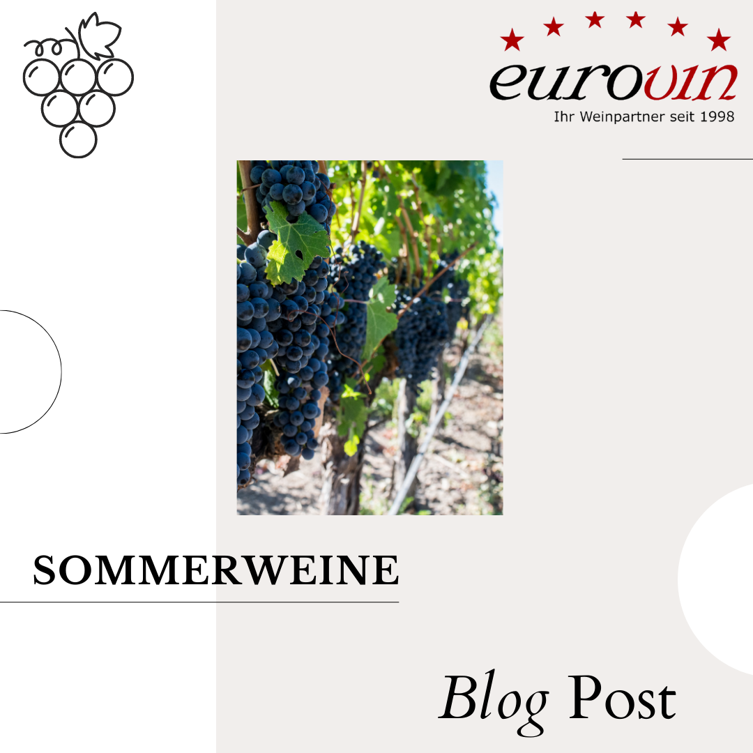Sommerweine - Eurovin